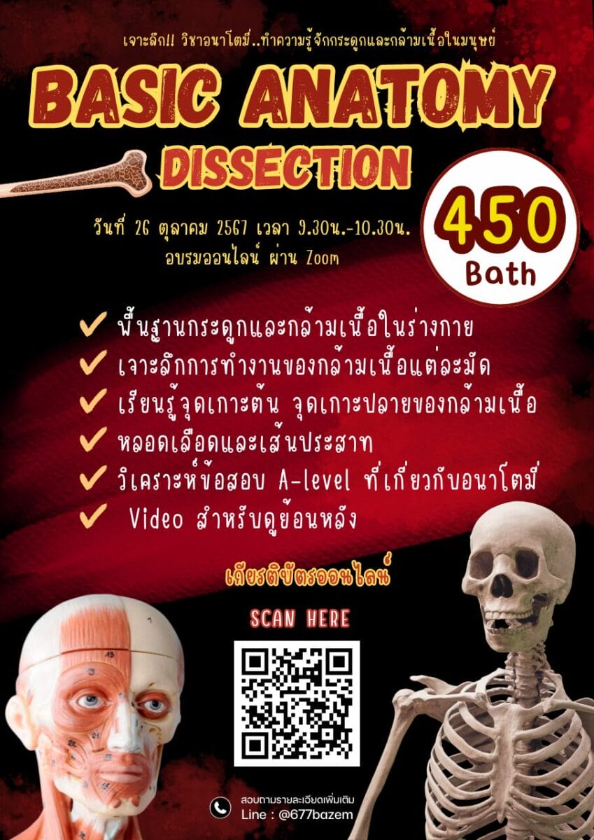 ค่ายหมอ : Basic Anatomy Dissection – เจาะลึกวิชาอนาโตมี่ - TCASter